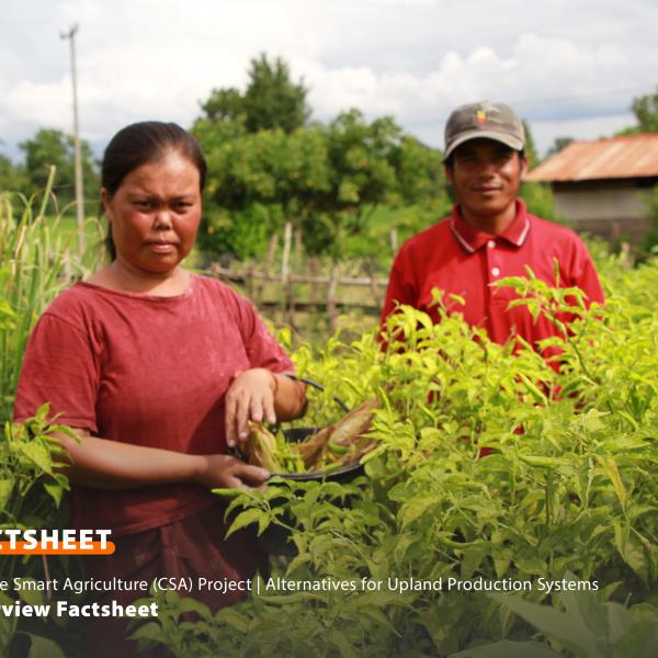 Climate Smart Agriculture Project Factsheet | Laos | World Vision ...